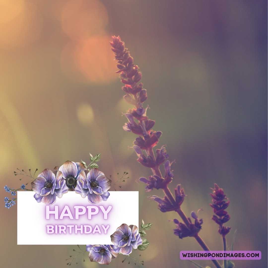Happy Birthday Purple Lavender Flower Images, Graphics, Pictures ...