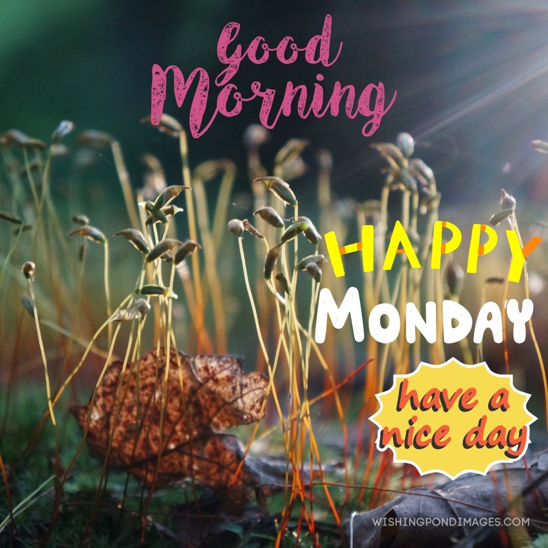 Good Morning Monday Images, pictures, photos for WhatsApp Dp - Wishing ...