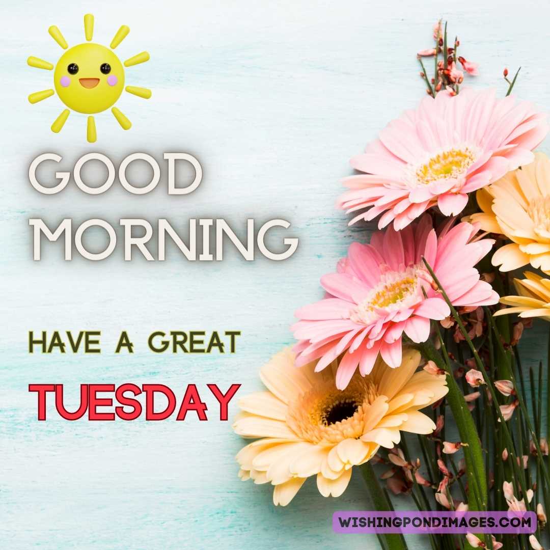 Good Morning Happy Tuesday Images - Wishing Pond Images