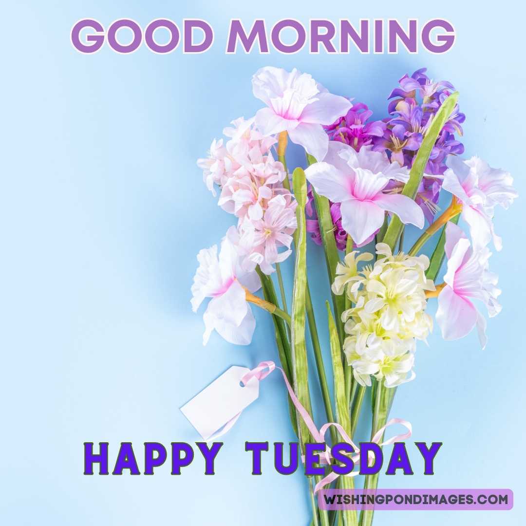 Good Morning Happy Tuesday Images - Wishing Pond Images